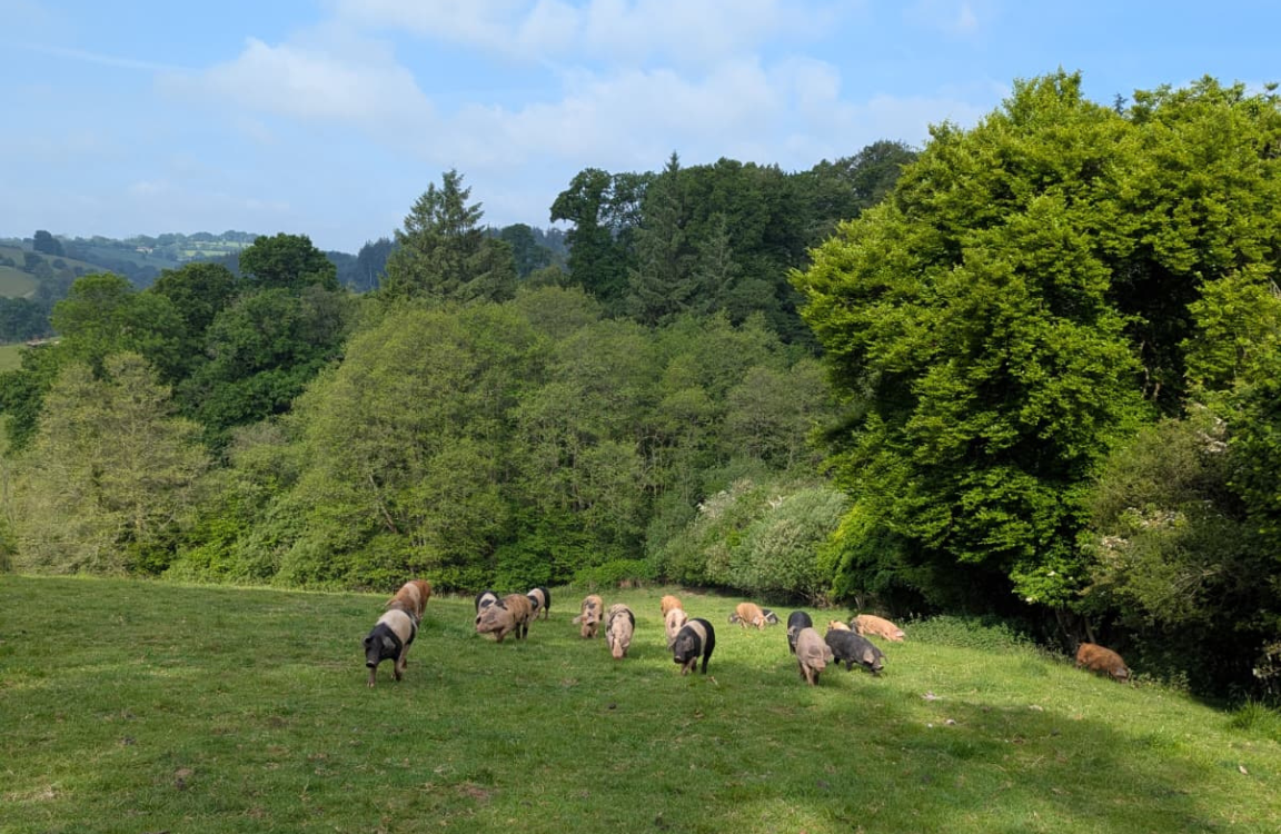 Beacon Farms | Real Food From The Source