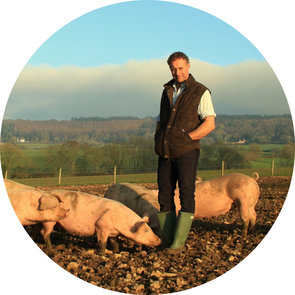 Dry Cured, Nitrite & Nitrate Free, Free Range, Pure Back Bacon – Beacon ...
